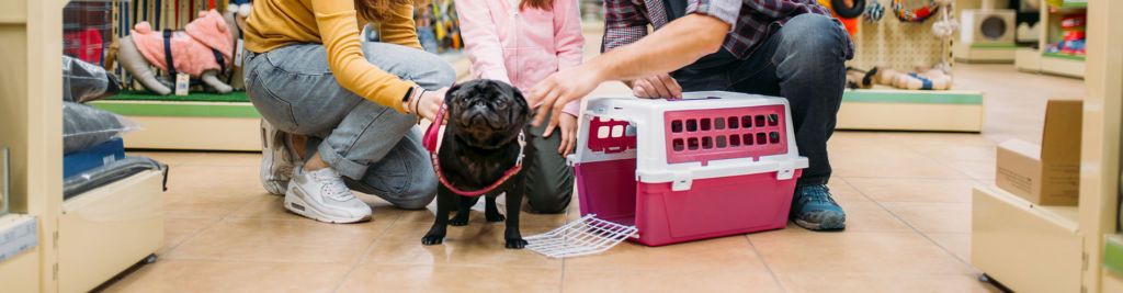 Medpets saves over 65% in time through automated Invoice Processing